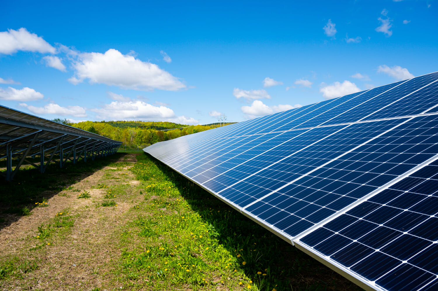 About Us - ForeFront Power